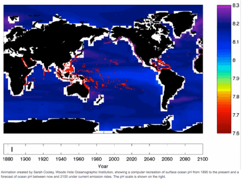 Ocean acidification: the basics (text and animation) - Ocean Acidification