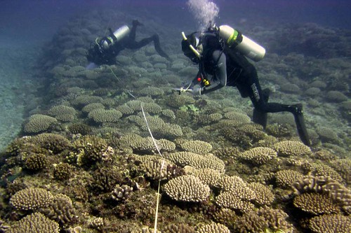 Our Methods - Ocean Acidification