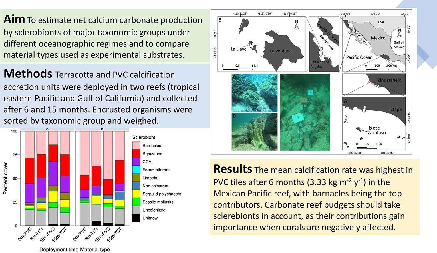 High sclerobiont calcification in marginal reefs of the eastern ...