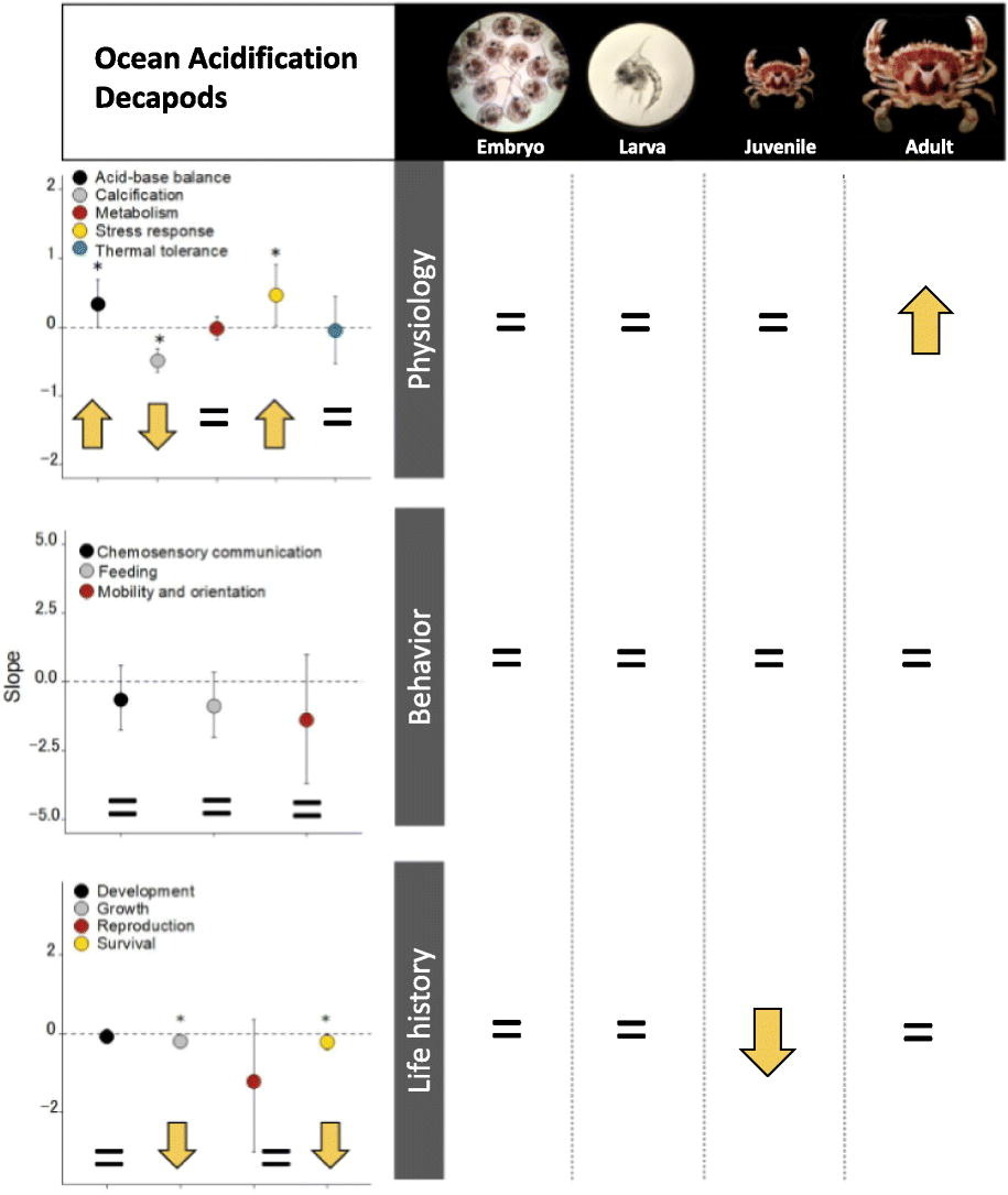 Disparate response of decapods to low pH: a meta-analysis of life ...