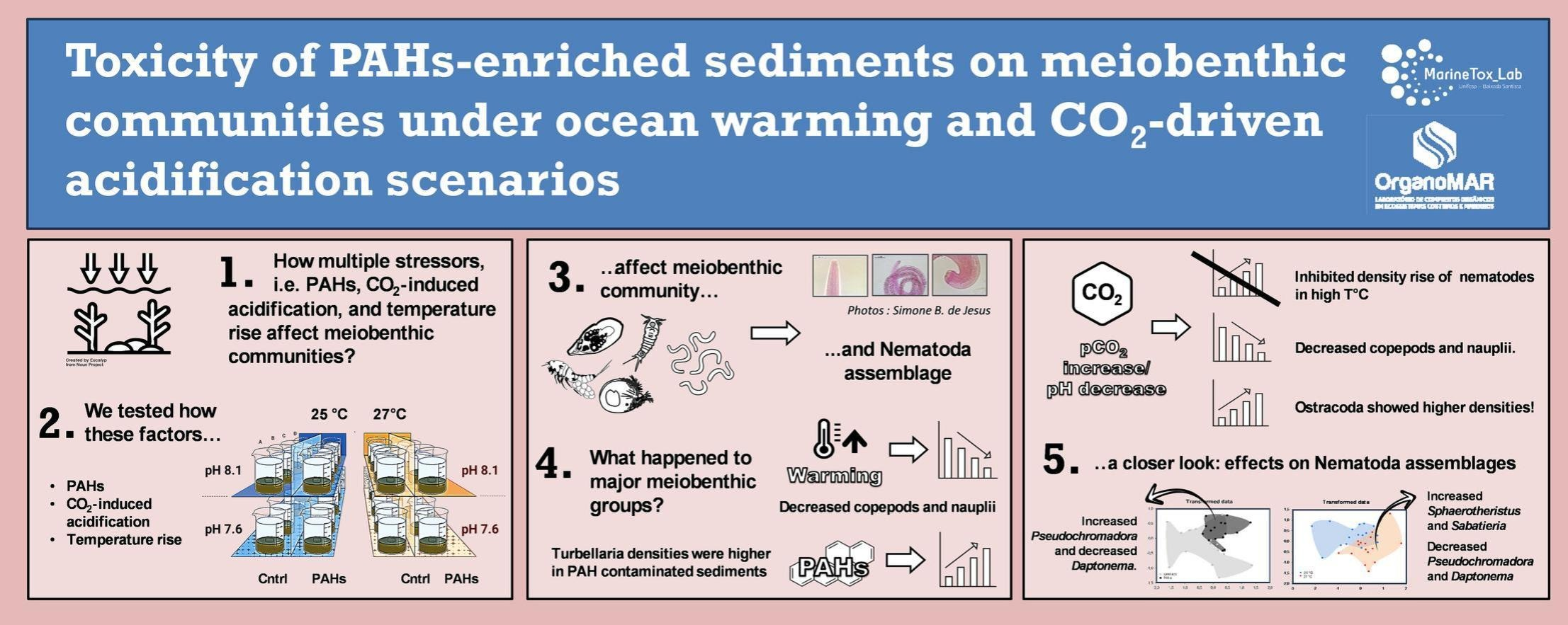 Toxicity of PAHs-enriched sediments on meiobenthic communities under ...