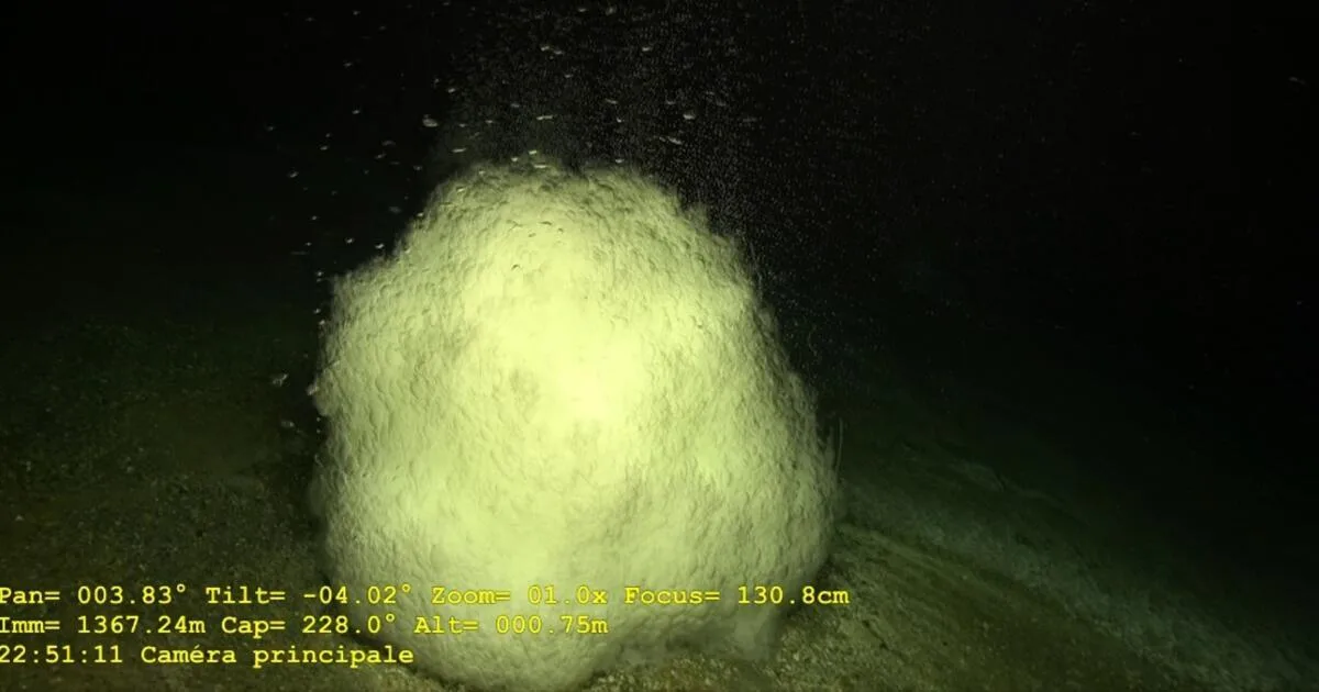 CO2 hydrate deposits off Mayotte offer window into ocean carbon storage ...